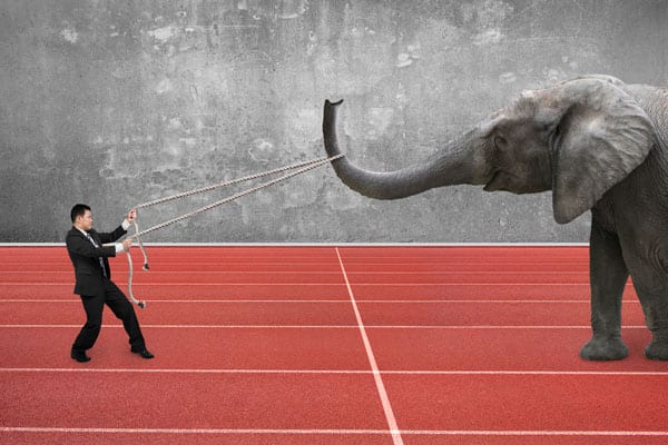 Tackle the Elephant in the Room—3 Tips to Discuss Salary During an ...